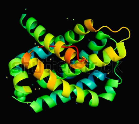 A New Protein Strand Discovered - 03.09.21 – Ark of Grace Ministries